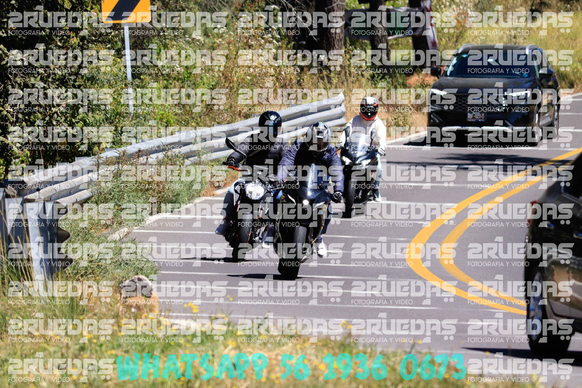 MG 1012 — Postimages