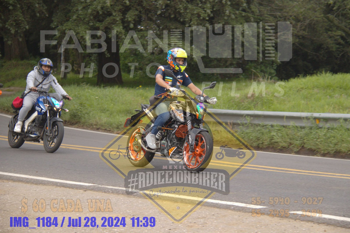 IMG 1184 — Postimages