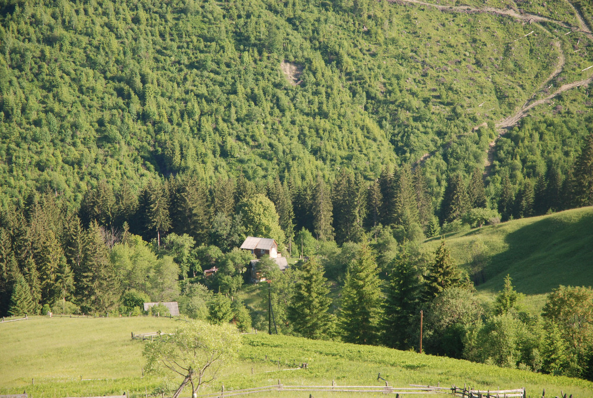 DSC 8903 — Postimages