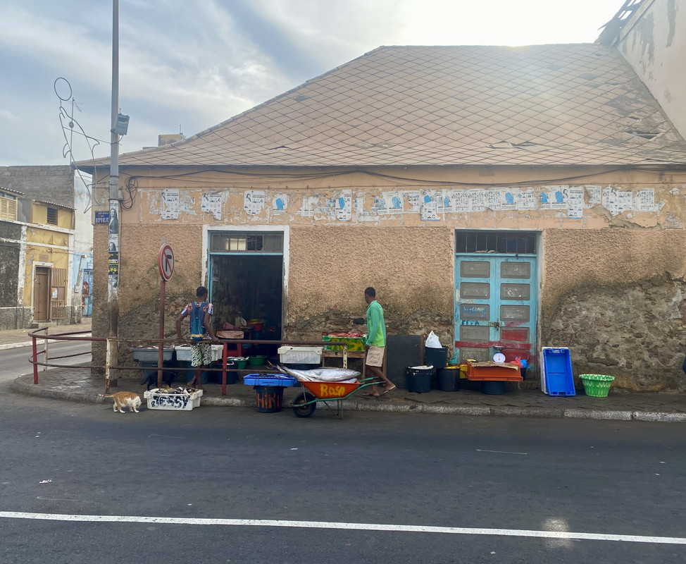 IMG 3731 — Postimages