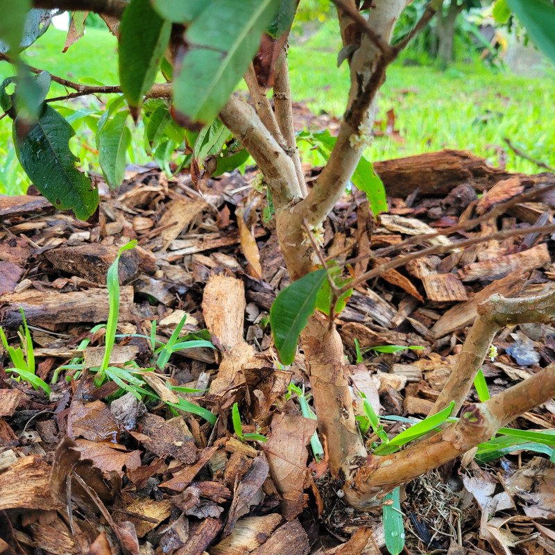 20241220 071948 — Postimages