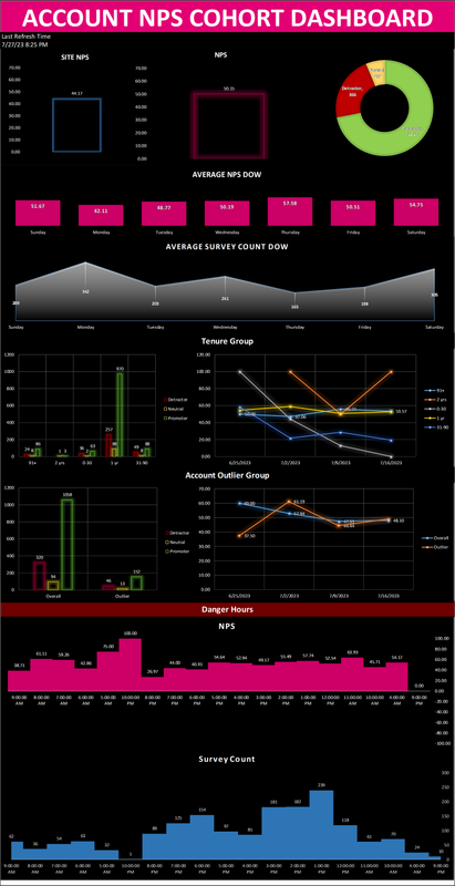Carl Justin G. | Consumer Experience Analysis & Dashboard