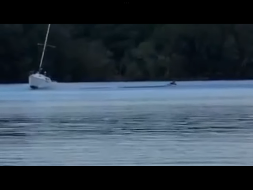 D8 D5862 C CD7 C 4864 BD5 A D7 BE4 A30 AB59 — Postimages