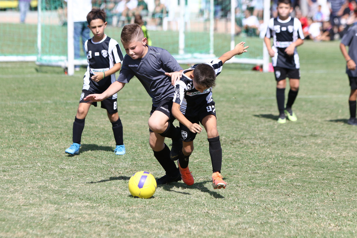 VIK 9481 — Postimages