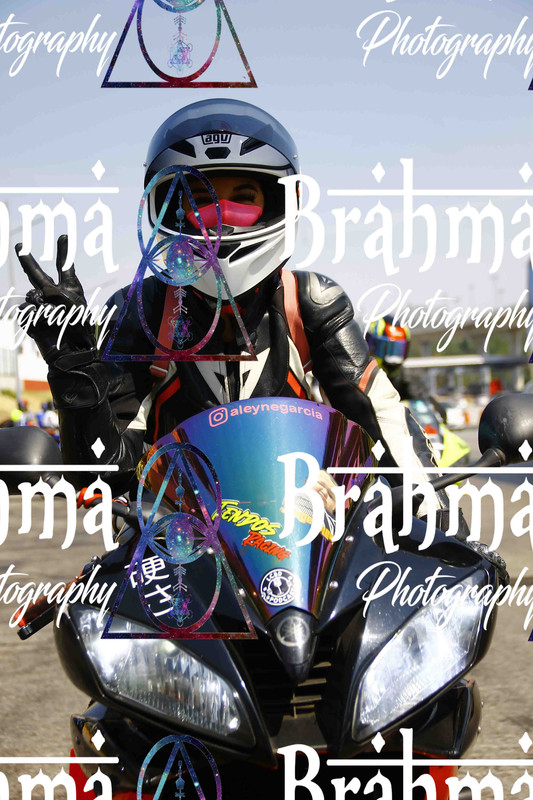 MG 1813 — Postimages