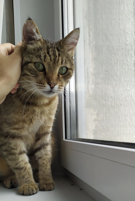 19 FF4 C5 E 09 B1 4 BE1 B880 9 F0 F8 F5 D9 A4 F — Postimages