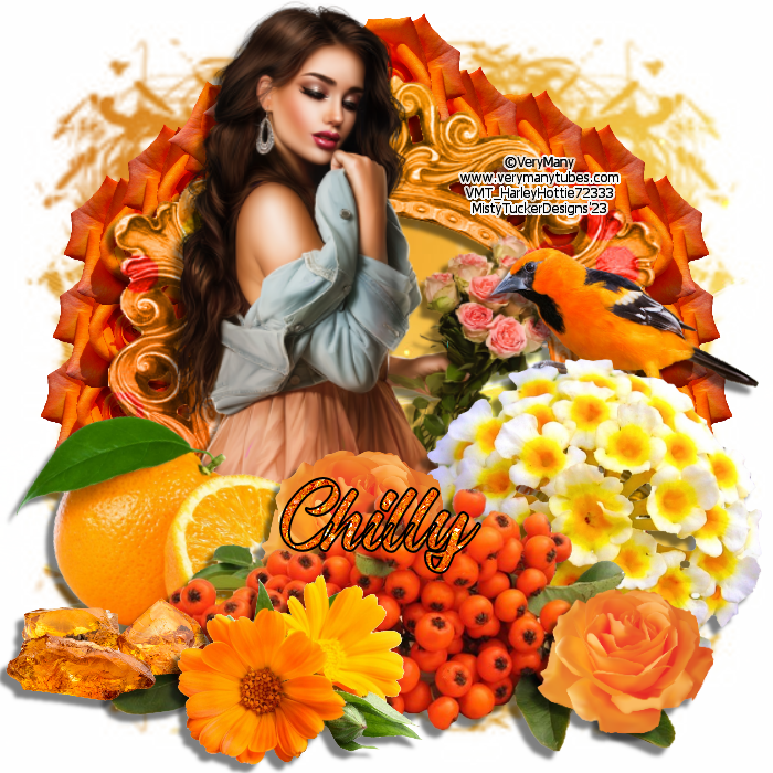 TAGGERS INN 2 — Postimages