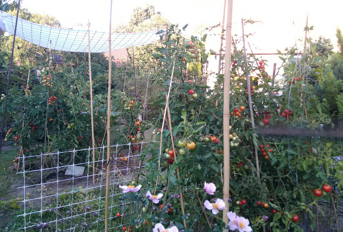 20230911 175807 — Postimages