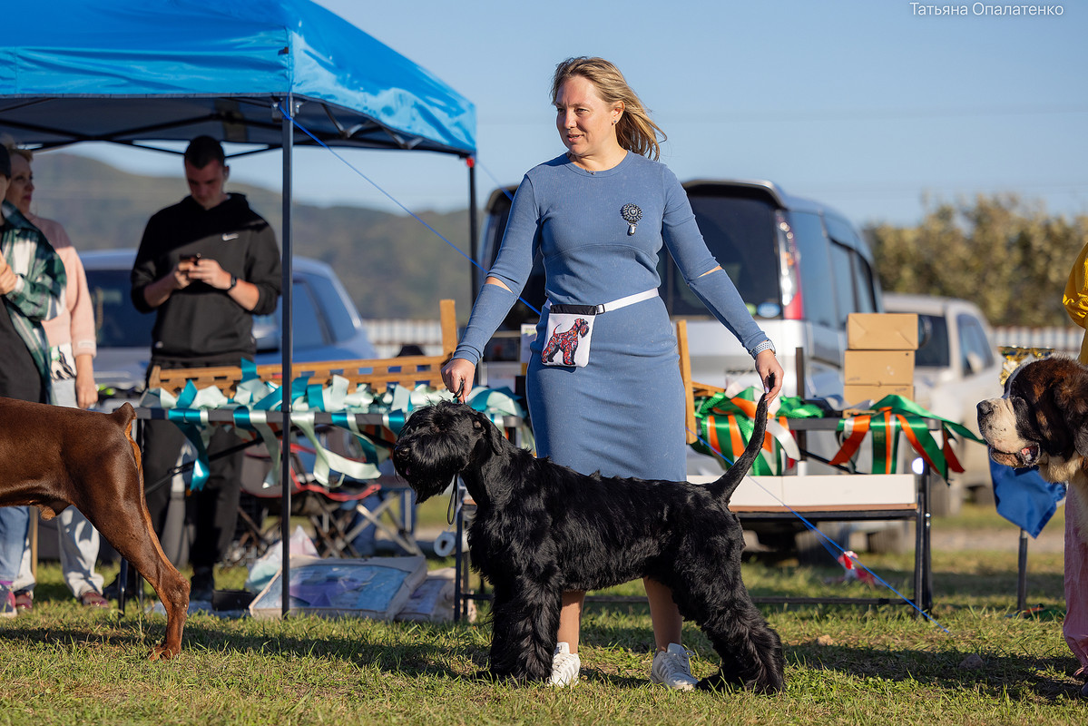 IMG 8907 — Postimages