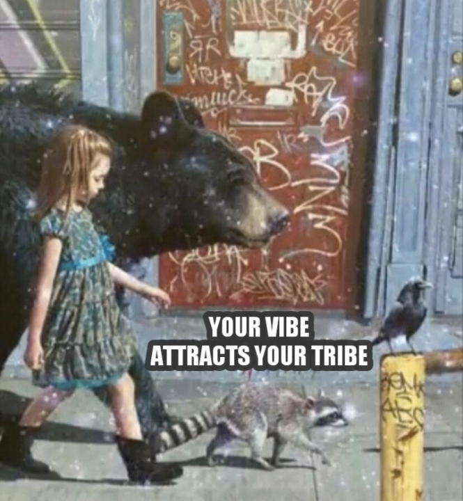 PHILLY RIOT DIVERSITY – The Burning Platform