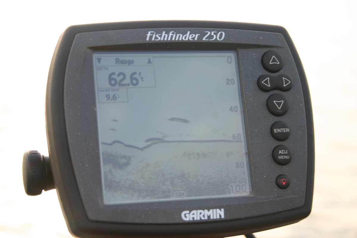 zander on the sonar — Postimages