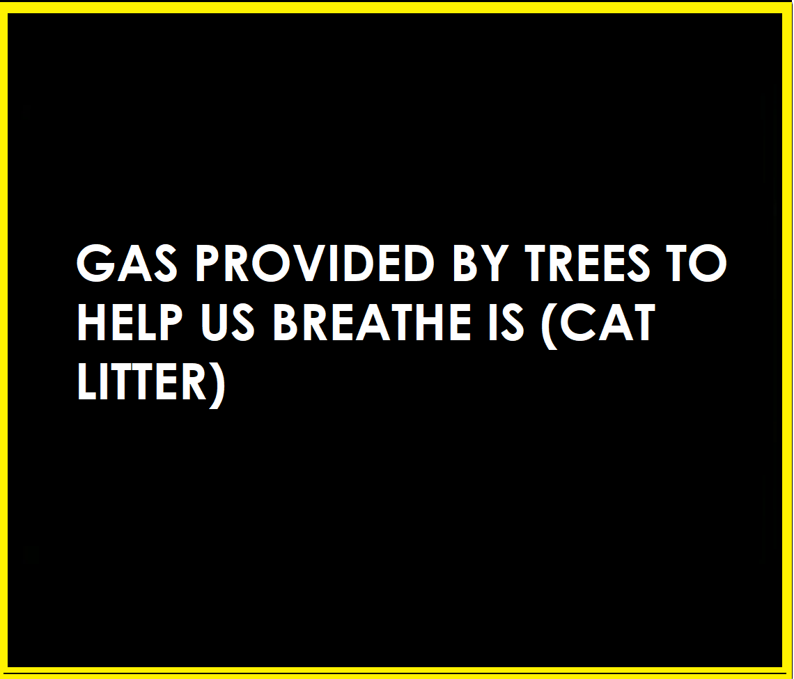 Whew Box — Postimages