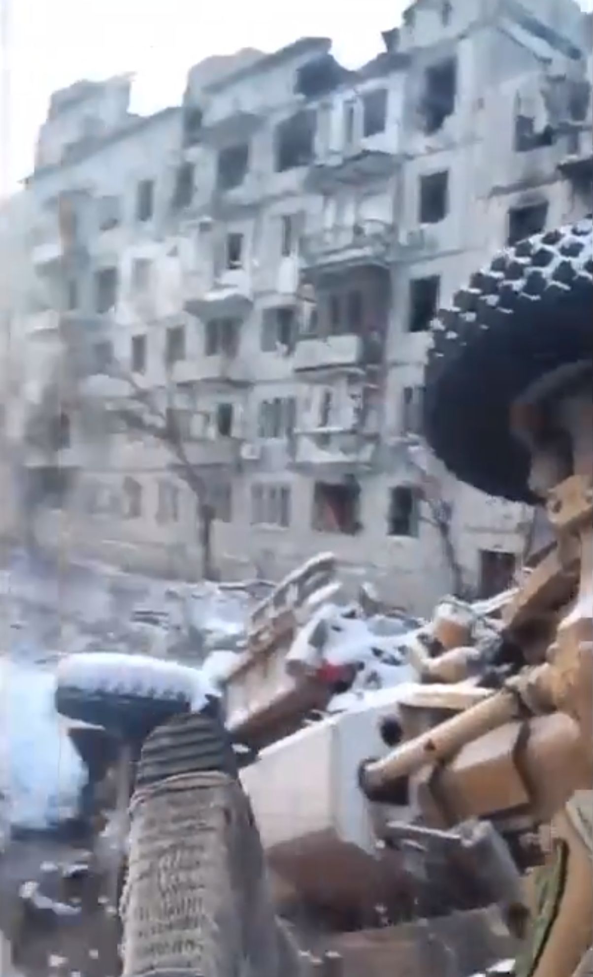 2005 Kirpi destr 08 01 24 — Postimages