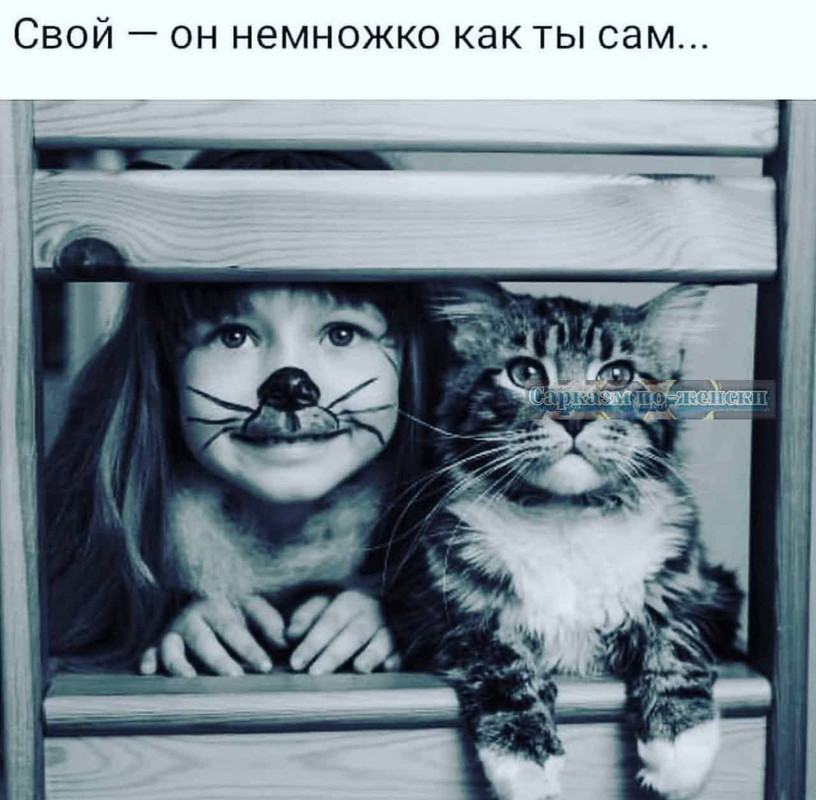 IMG 8260 — Postimages