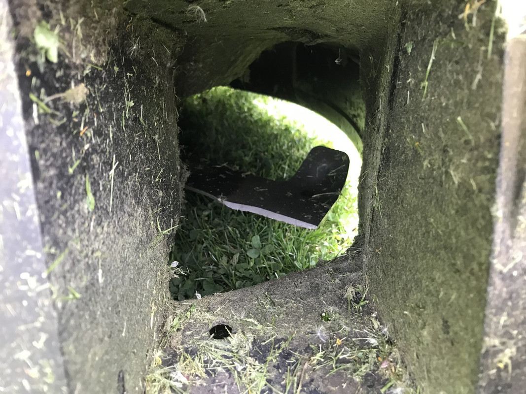 IMG 3732 — Postimages