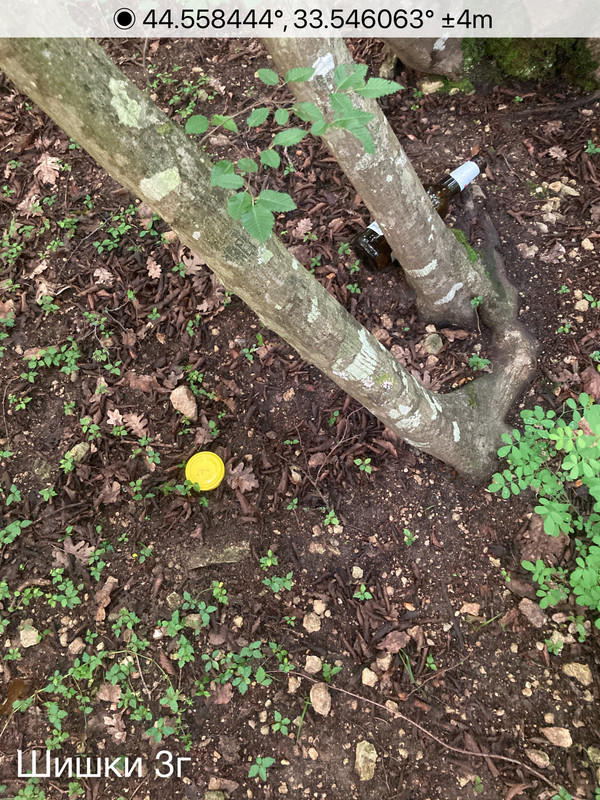 IMG 0396 — Postimages