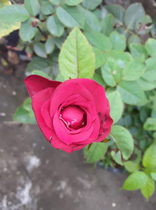 Img 20231024 Wa0013 Postimages