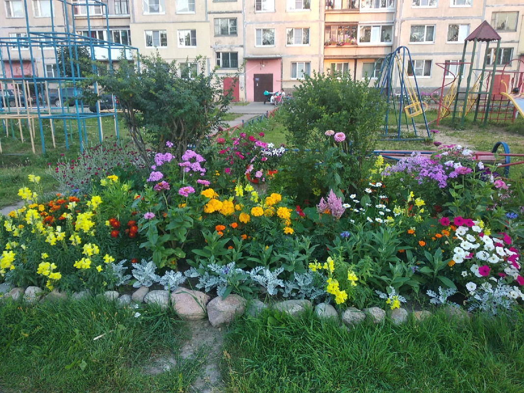 h X fgn6 AHsw — Postimages