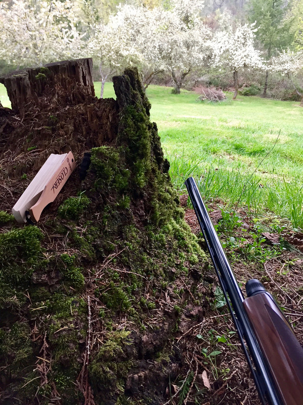 pretty trees — Postimages