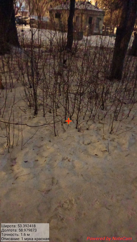 1 muka Meph (11) — Postimages