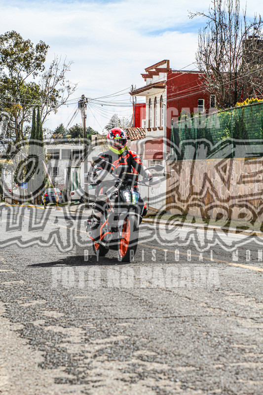 CCH1 135 — Postimages