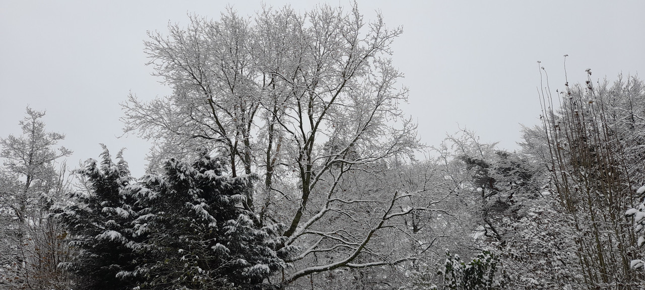 20221210 094253 — Postimages