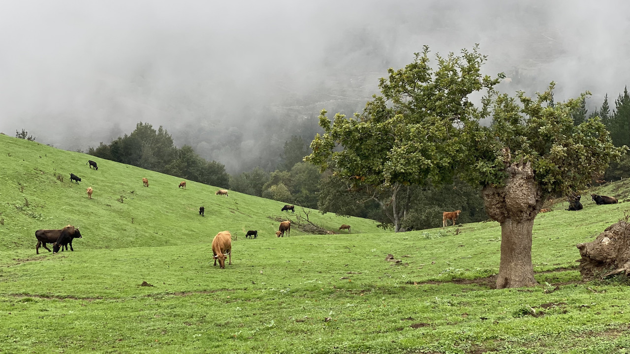 IMG 4202 — Postimages