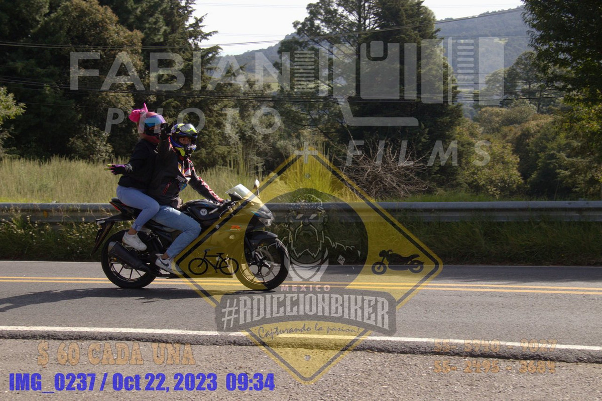 IMG 0237 — Postimages