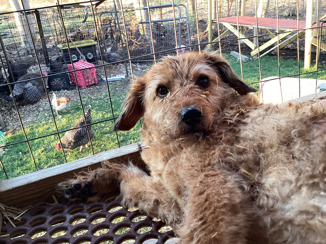 775 E6 E13 050 B 4 DA7 8 F7 C 1 C2 A7 C300 A1 E — Postimages