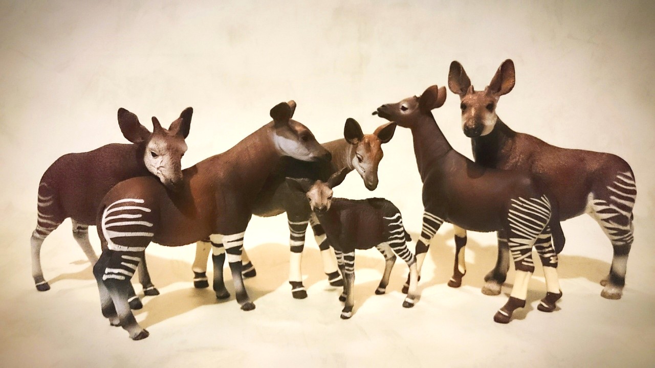 Okapi models