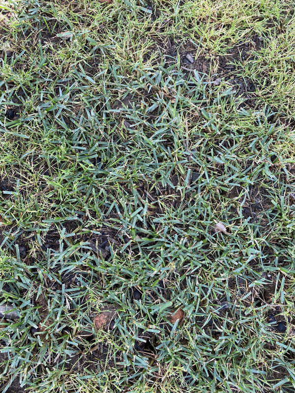 IMG 1925 — Postimages