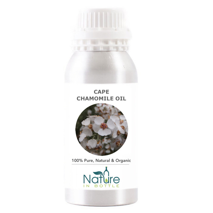 Cape Chamomile Essential Oil Organic - Eriocephalus Punctulatus