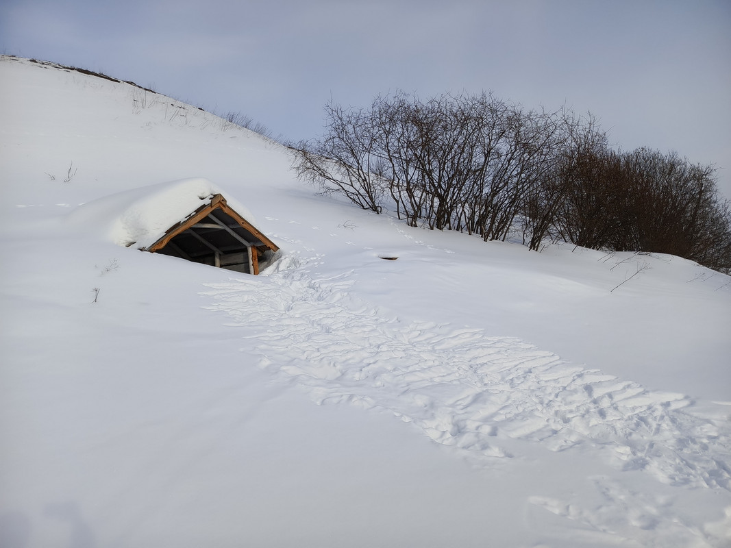 IMG 20240312 165730 949 — Postimages