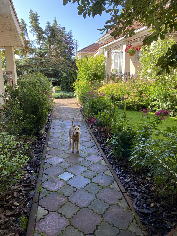 IMG 0019 — Postimages