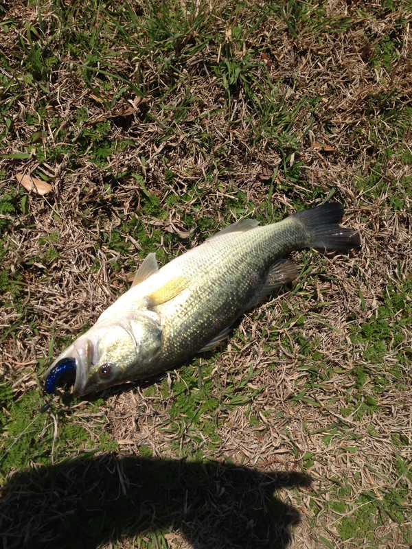 IMG 0206 — Postimages