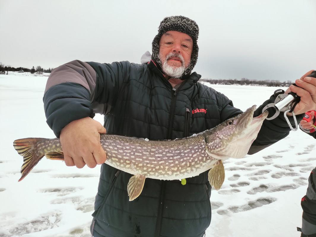 IMG 20230129 104616 — Postimages