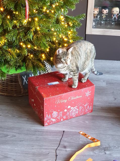 Unboxing | Secret Santa Swap 2019 - The Book Dutchesses