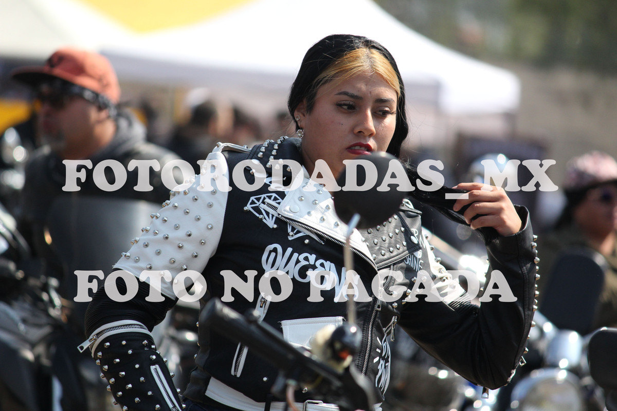 IMG 1859 — Postimages