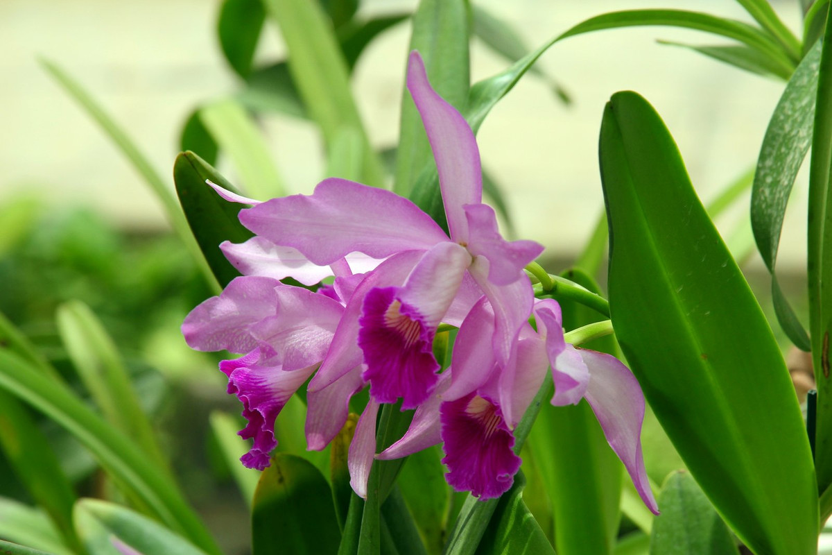 时尚活动结束 🧧 再看一眼巴西 -6park.com