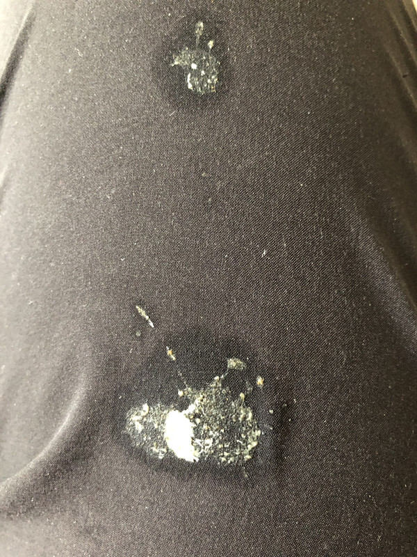 IMG 3018 — Postimages