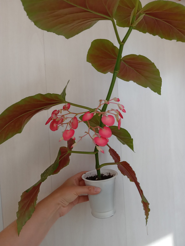 20230819 092657849 — Postimages