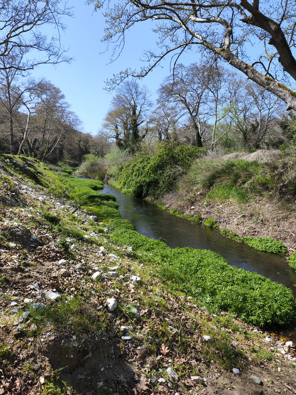 IMG 20240330 133345 — Postimages