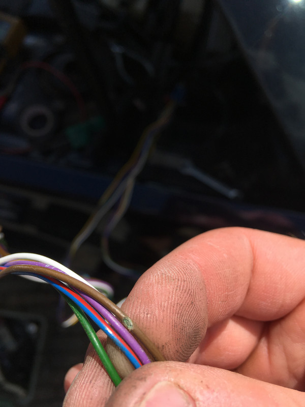 IMG 2946 — Postimages