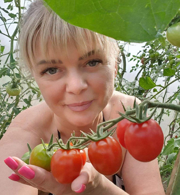 stažený soubor (7) — Postimages