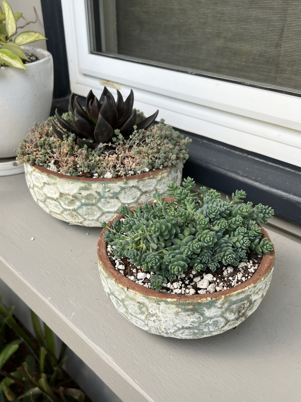 IMG 3402 — Postimages