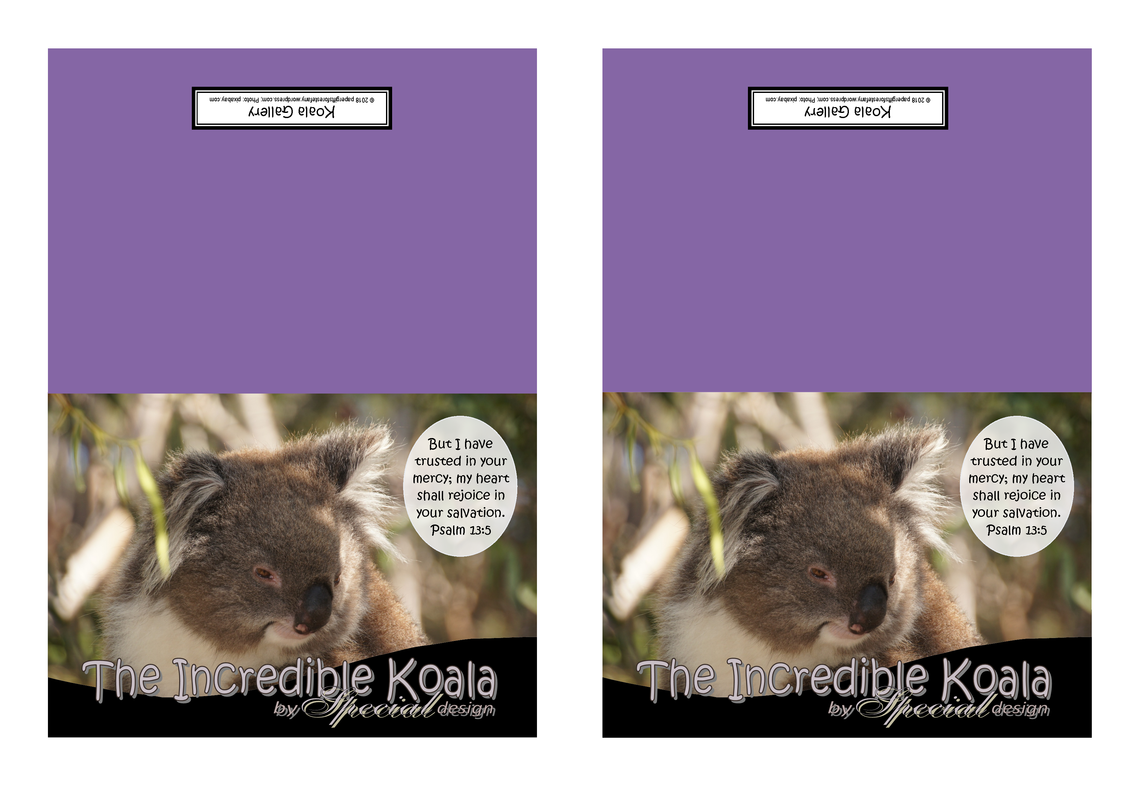 PGFE Koala Photo Note Cards2 A4 — Postimages