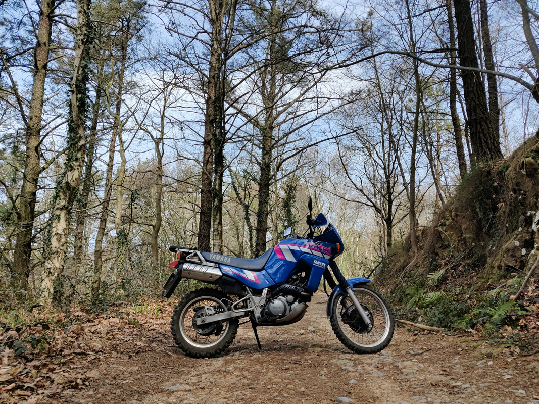 IMG 20230329 134350 — Postimages