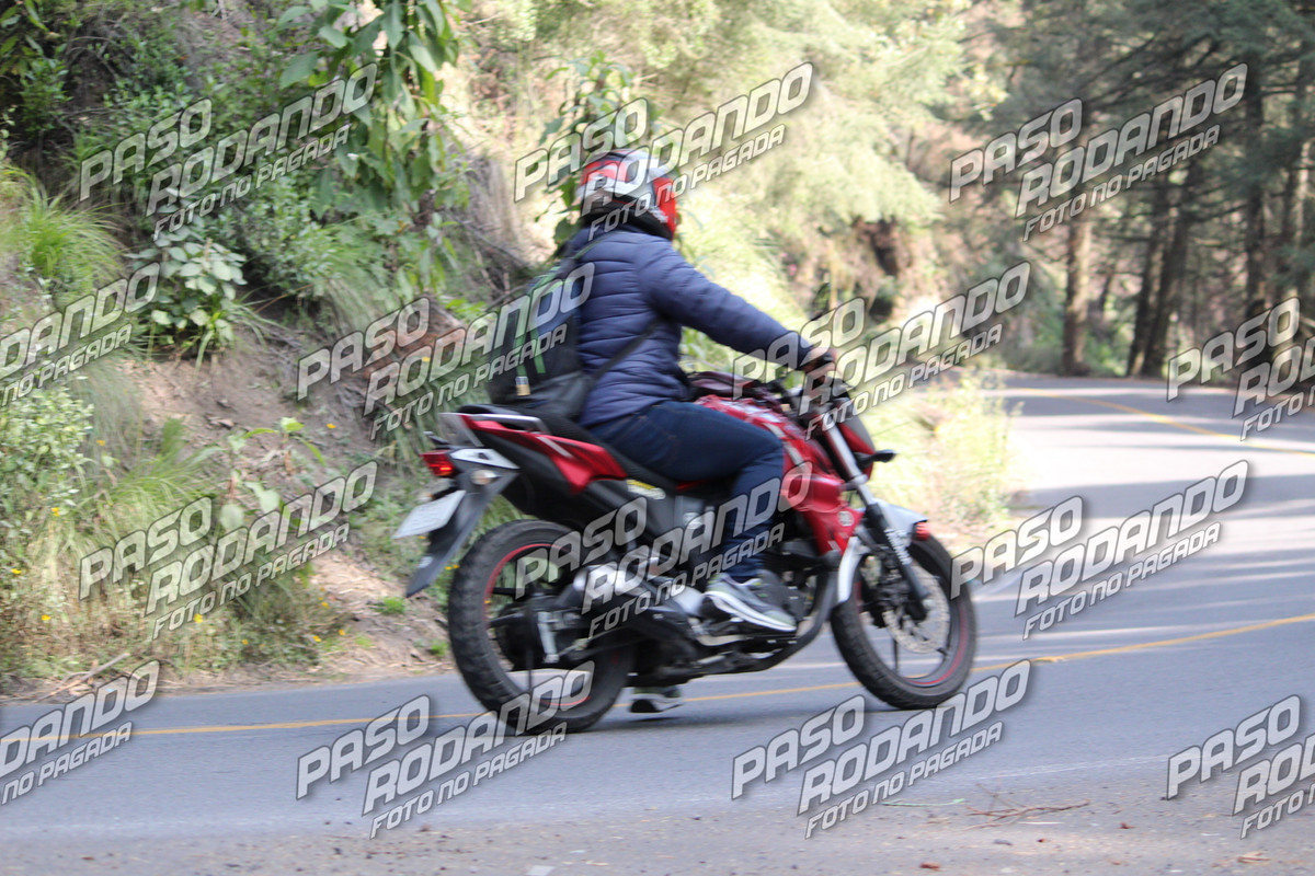 IMG 3448 wm 10105607 4 watermarked — Postimages