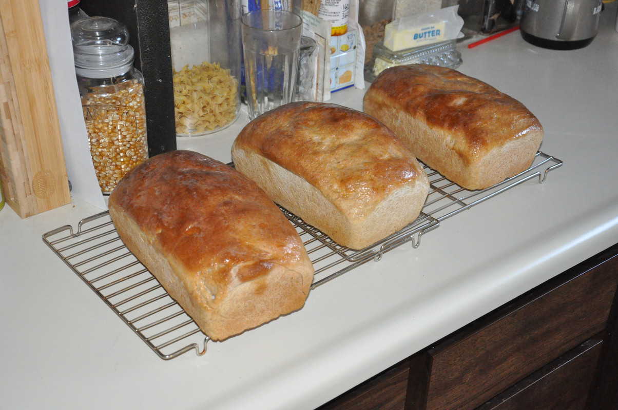 Old Fashioned Church Bread 03 — Postimages