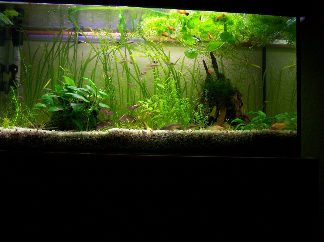 000 0139 — Postimages